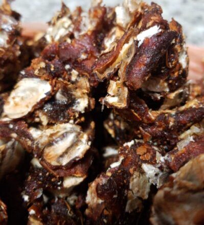 Fresh Red Tamarind 1kg – Mambon